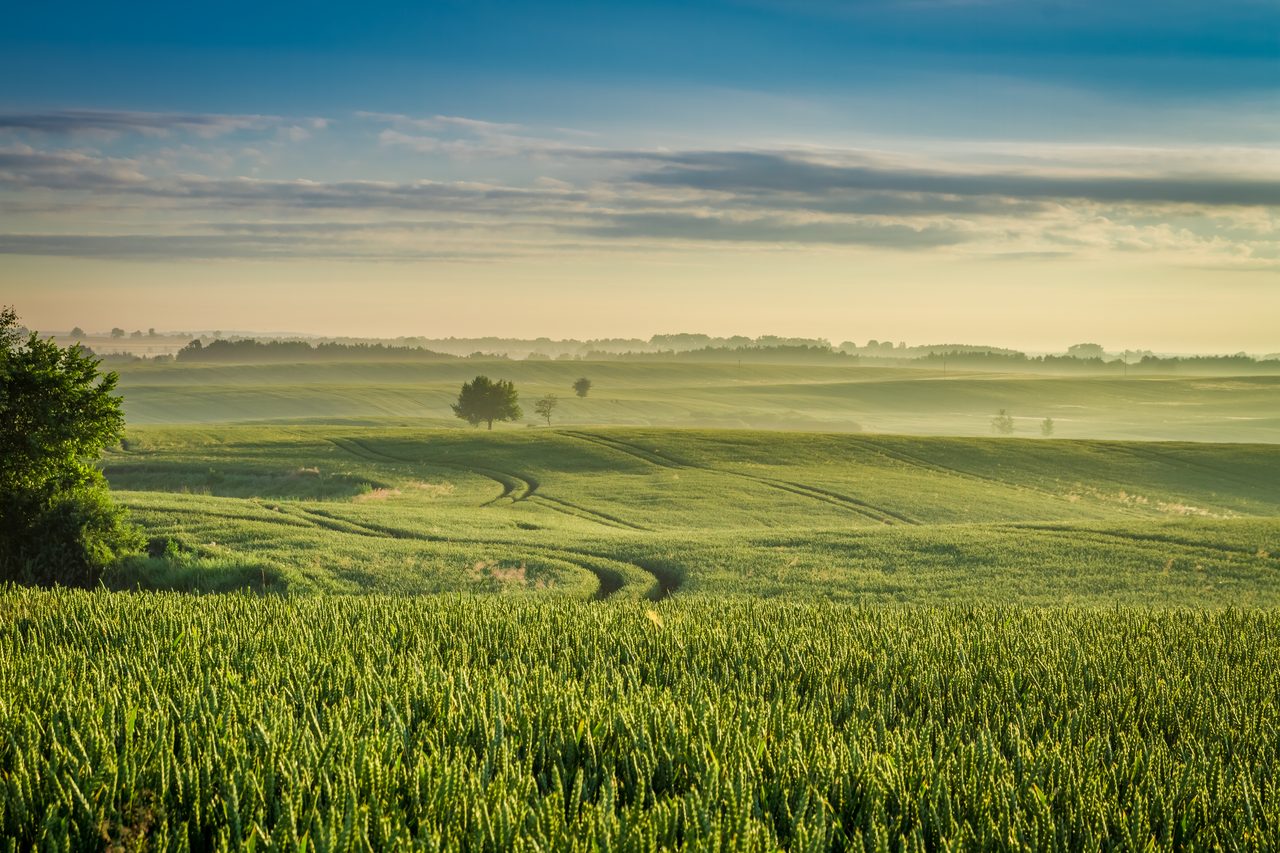 Child Support Calculations in Iowa | Divorce AI