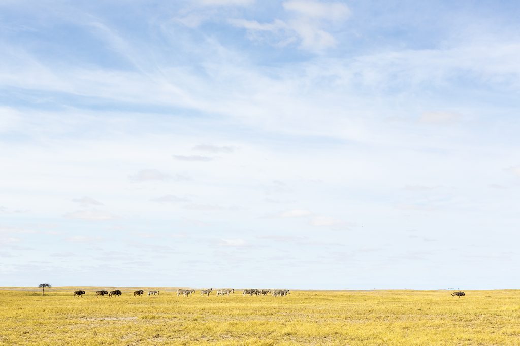 Nebraska Divorce Timeline: 60-Day Wait Required | Divorce AI