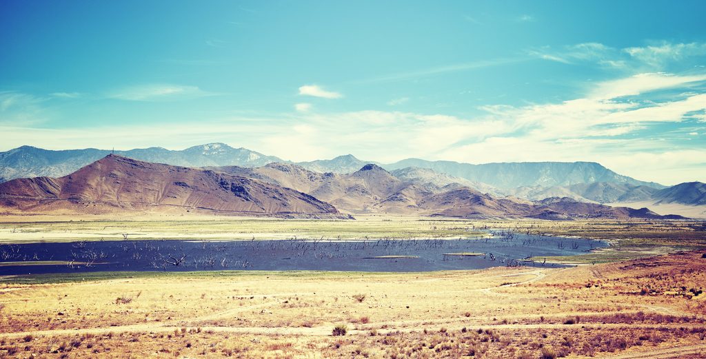 Nevada Divorce Timeline: Fastest in the US | Divorce AI